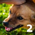 Wat is 'trigger stacking' en waarom moet je het zien te voorkomen ...