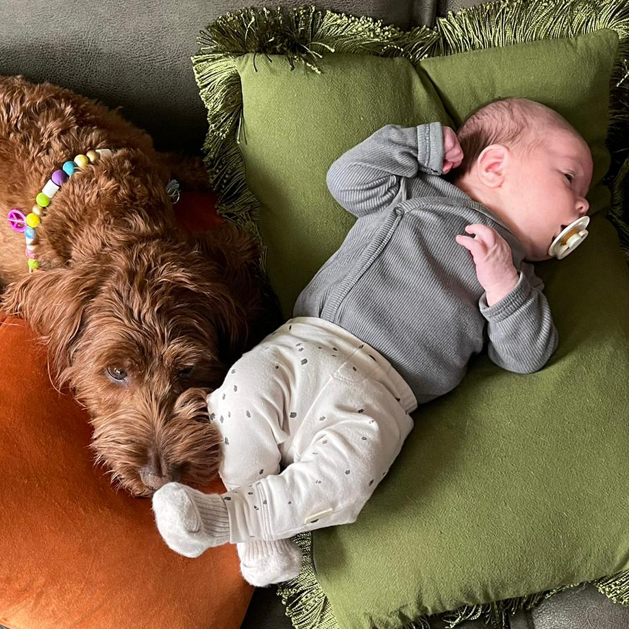Fabels over honden en baby’s - Doggo.nl